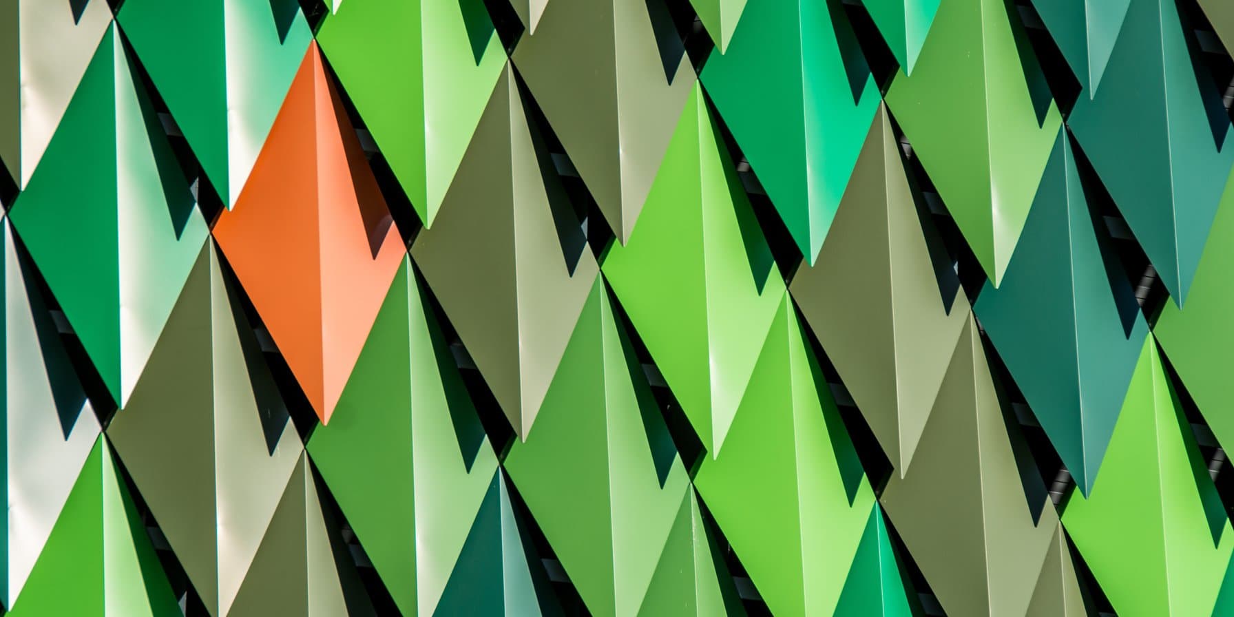 Advisory | TSA Riley Global