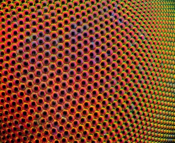 TSA Riley New Zealand & Pacific | Project Consultants