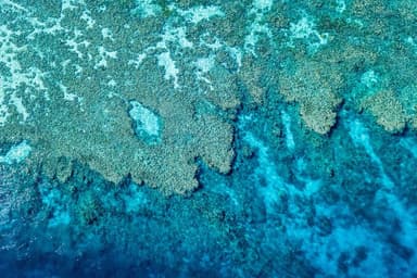 Australia | TSA Riley