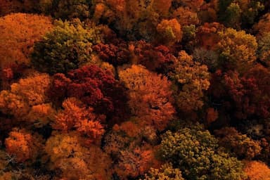 Our locations | TSA Riley