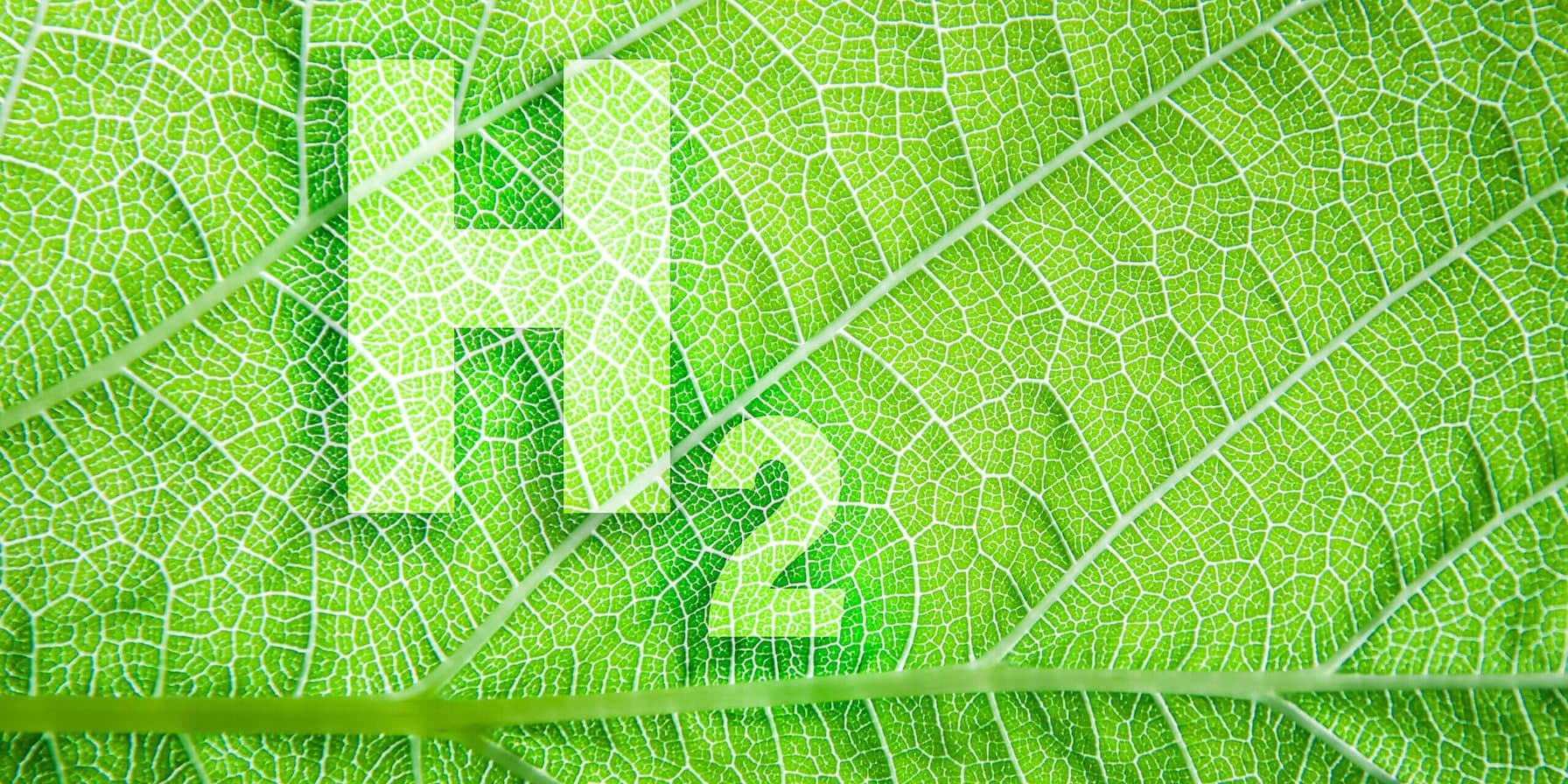 Institute of Geological and Nuclear Sciences | TSA Riley