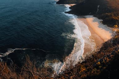 Australia | TSA Riley