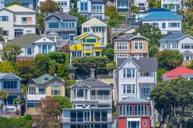 New Zealand | TSA Riley