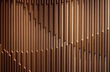 Melbourne | TSA Riley